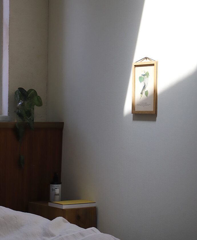 年月を経ても美しいもの | hushykke[ハシュケ]